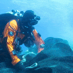 Original Cut Swimsuit (Tangerine) – SoSo Swim